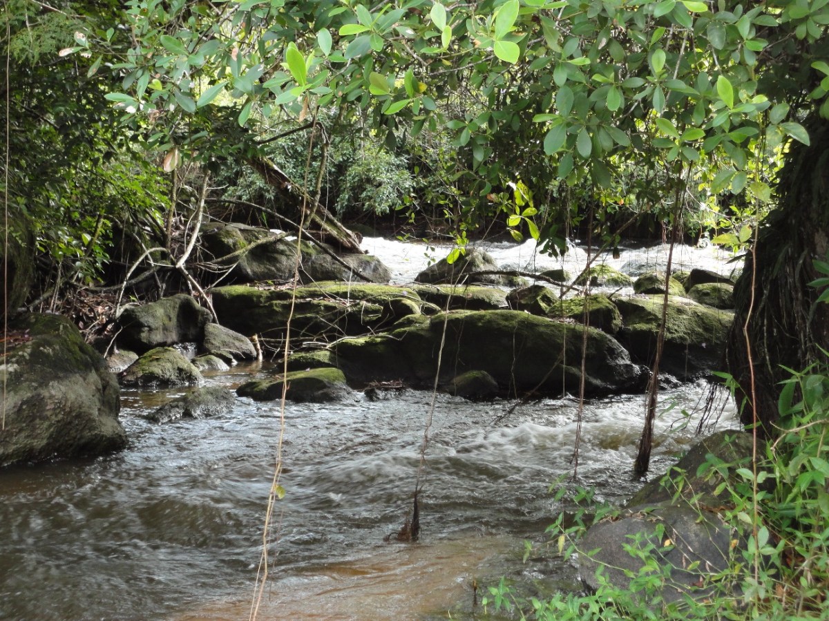 Opkomen voor Gods schepping – OMHOOG