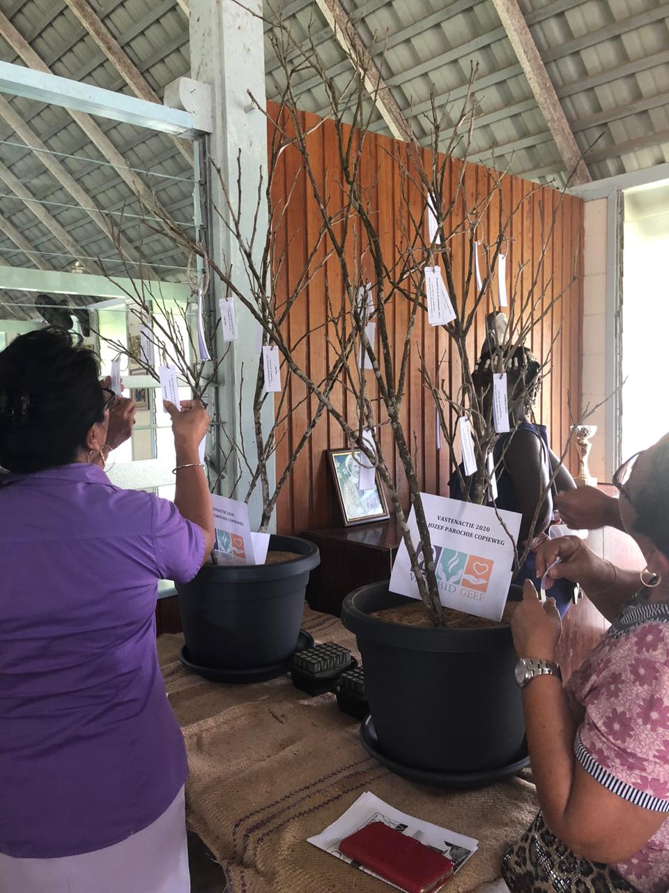 De vreugdebomen van St.-Jozef Copieweg – OMHOOG